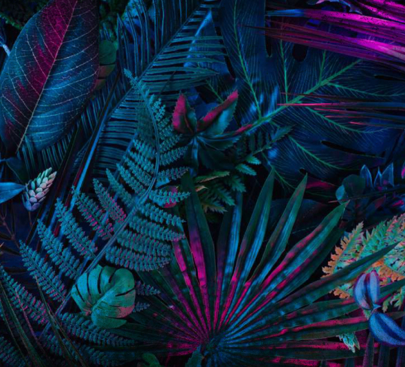 Cooper Parry Wealth | Wealth Planning Advice